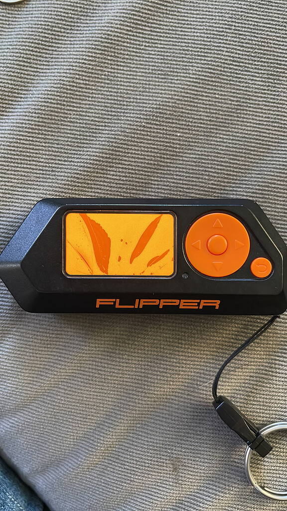 Screen failure - Flipper Forum