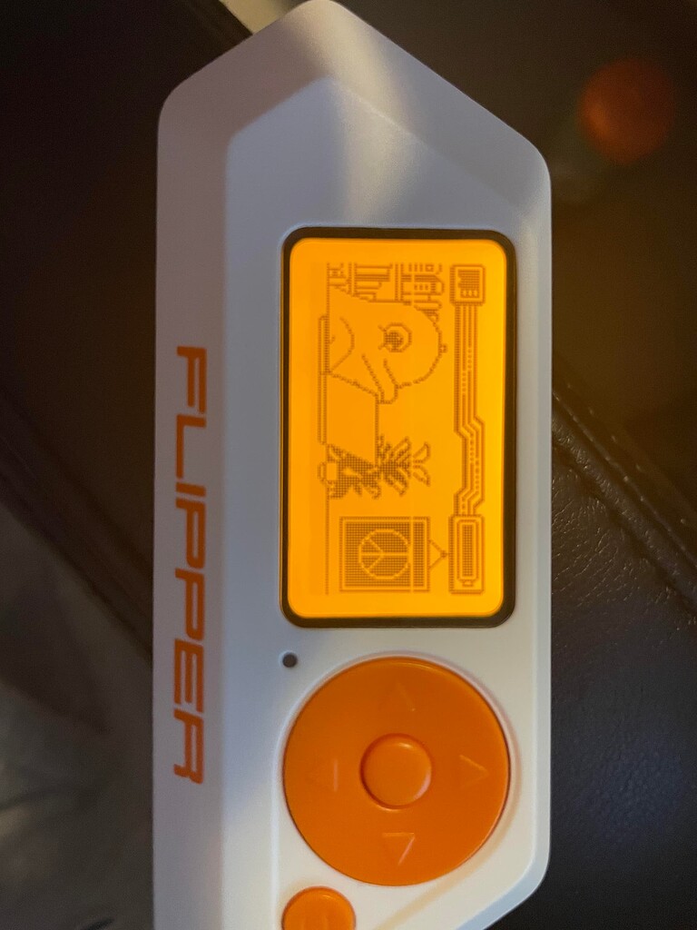 Flipper has a line of dead pixels when first turned on - Flipper Forum