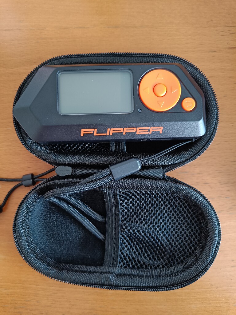 Best case that i've found so far - Flipper Forum