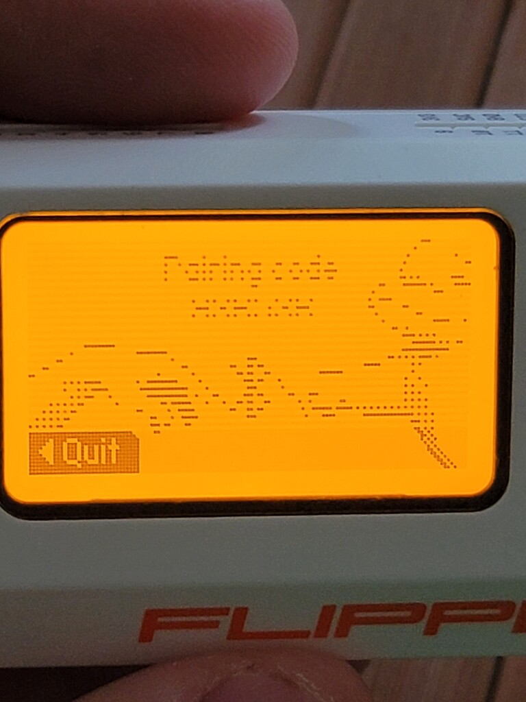 Dropped flipper, broke screen, can't read pin. Want to load painless ...